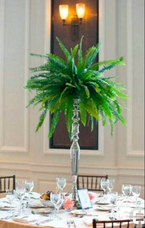 Catering Medellín Tu San Agustin